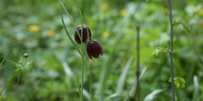 Metria Maps | Consideration information